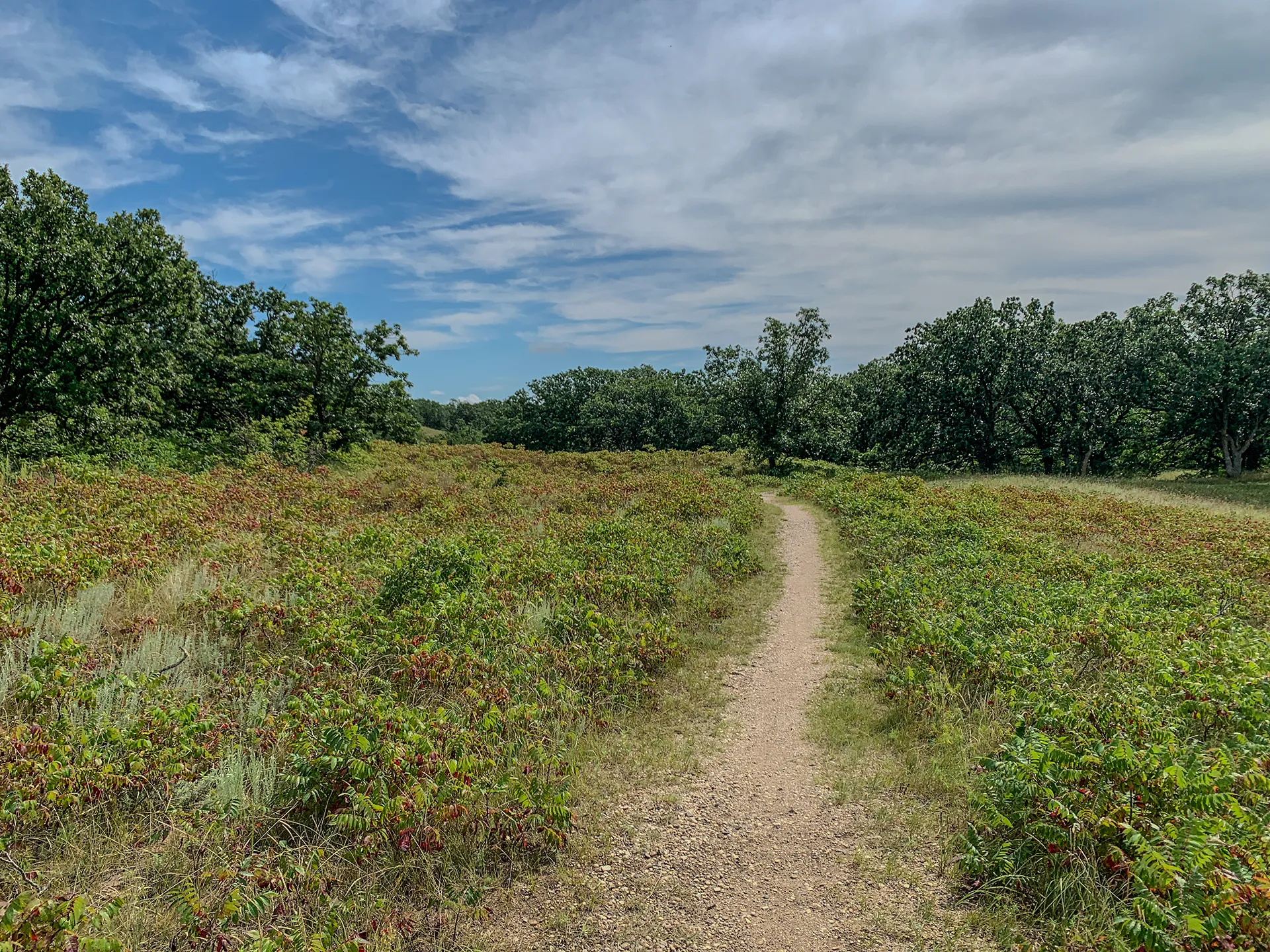 Sheyenne National Grasslands